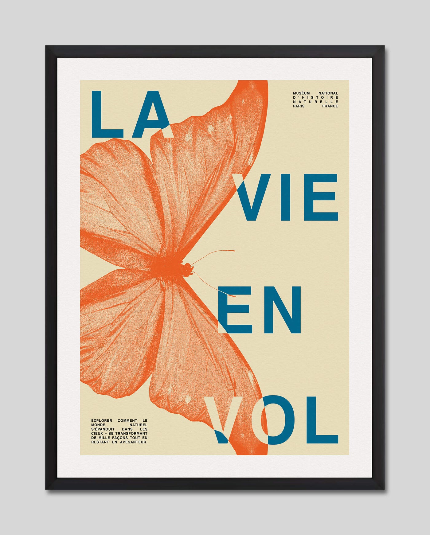 La Vie En Butterfly Art Print by Samuel Rossi | Pop Motif