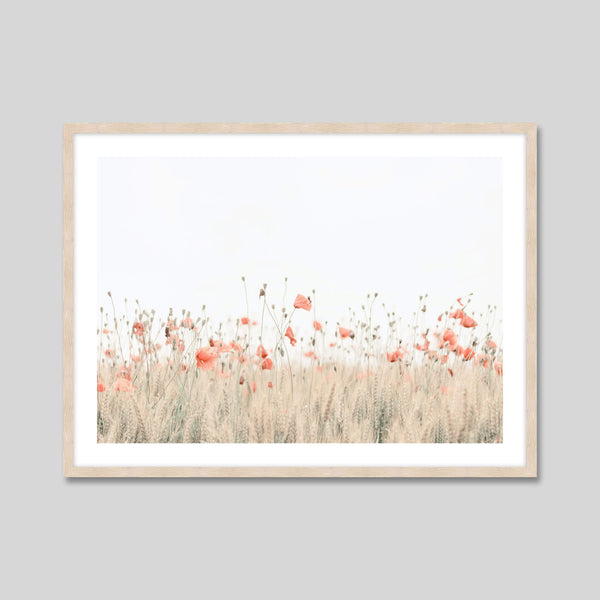 Poppy Field Photography Art Print | Pop Motif