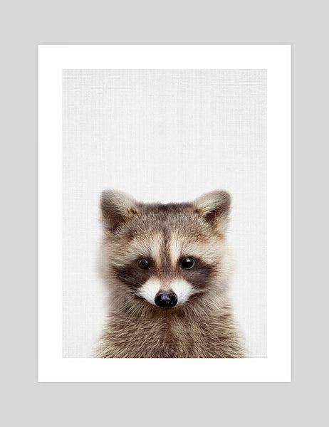 Woodland Raccoon Nursery Art Print | Pop Motif